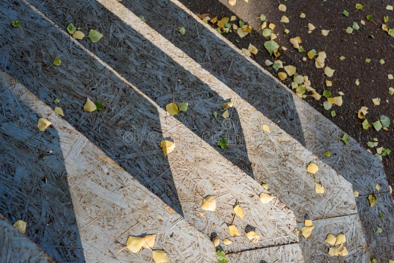 Diagonal Wooden Steps with Autumn Leaves Stock Image - Image of wooden ...