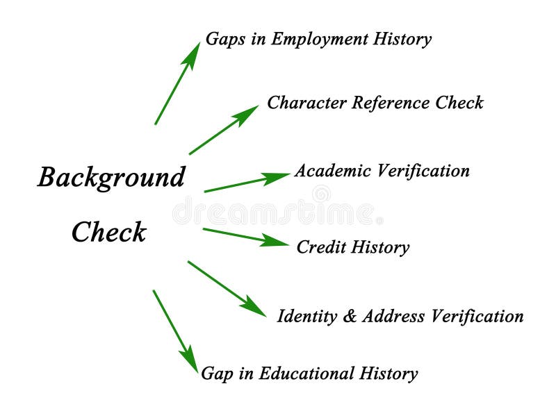 Diagram of Background Check Stock Illustration - Illustration of ...