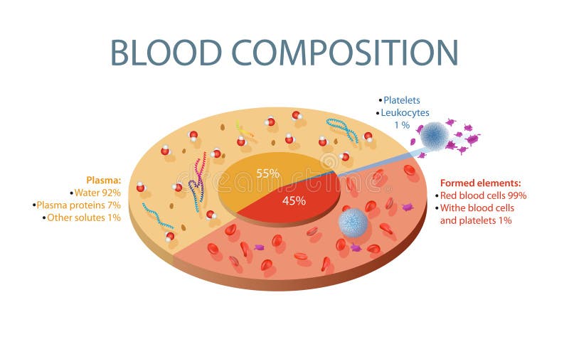 Diagram of Blood Composition Stock Illustration - Illustration of ...