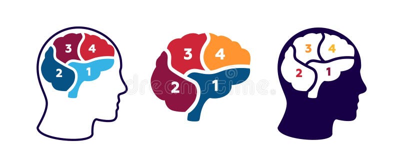 Diagram of the Brain with Numbered Sections in Three Different Artistic ...