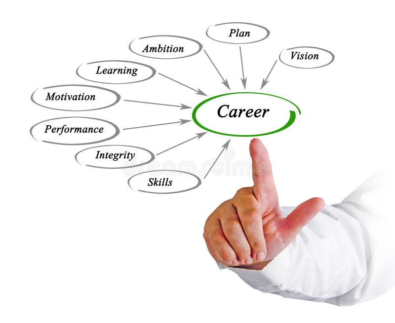 Diagram Of Career Development Stock Photo - Image of success, career ...