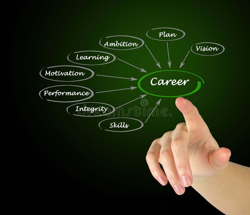 Diagram of Career Development Stock Image - Image of concept ...