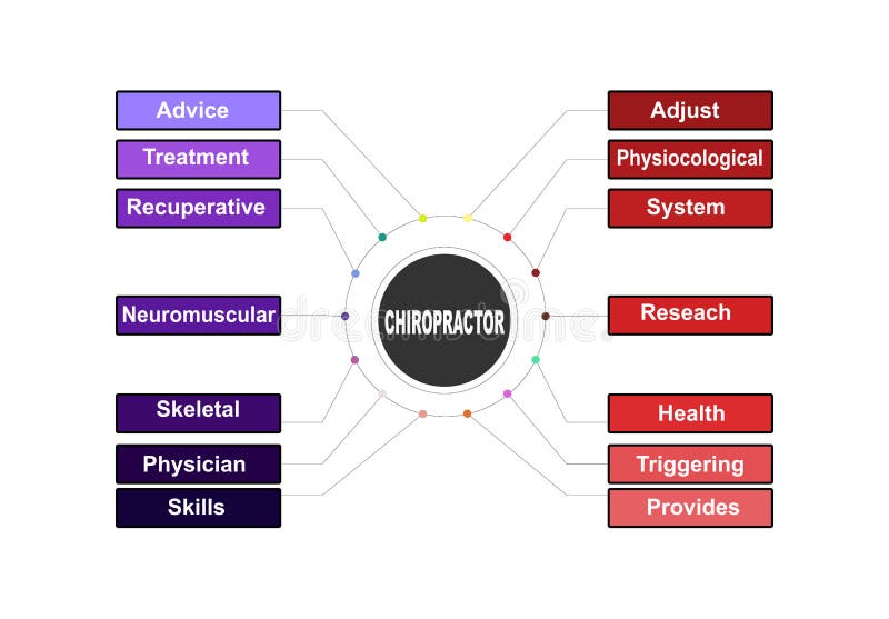 Chiropractic Spine Chart Stock Illustrations – 63 Chiropractic Spine ...