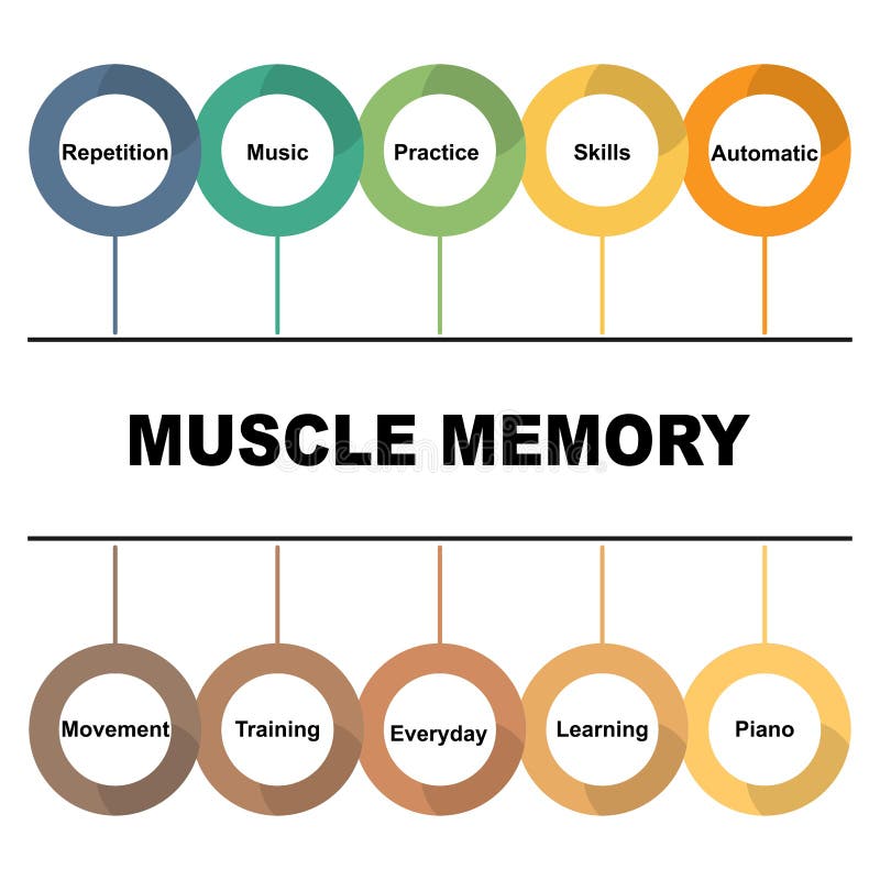 Diagram Concept with Muscle Memory Text and Keywords. EPS 10 Isolated ...