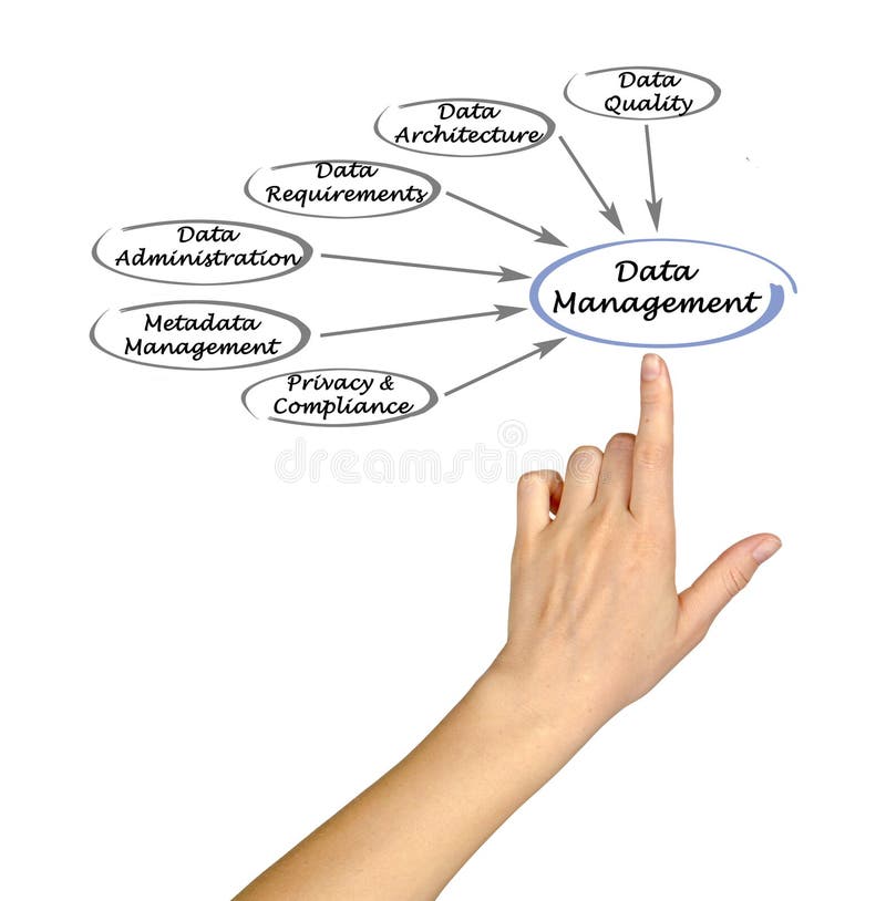 Diagram of data management stock photo. Image of expert - 85646570