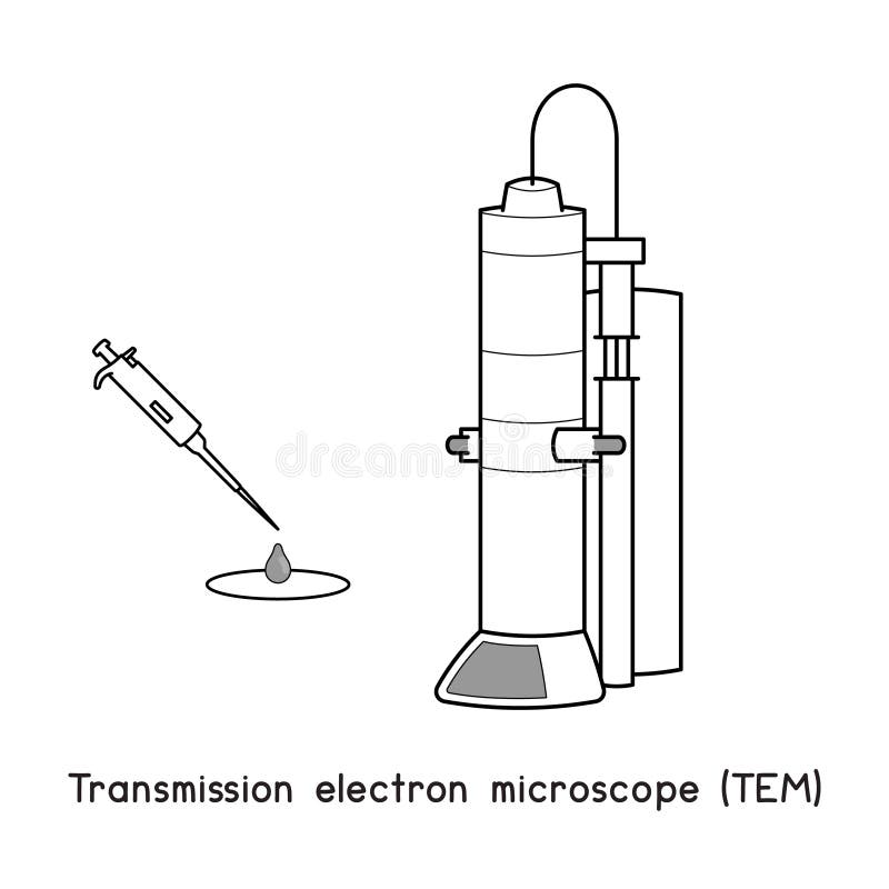 Diagram for Experiment Setup Lab Outline Vector Stock Vector ...