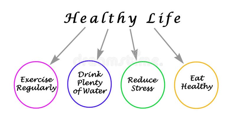 Diagram of Healthy Life Cycle Stock Illustration - Illustration of ...