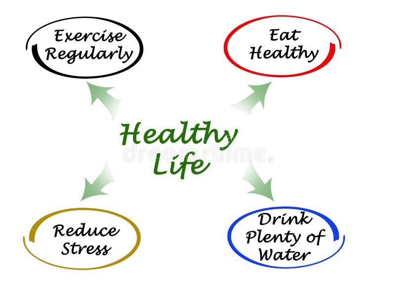 Diagram of healthy life stock illustration. Illustration of water ...