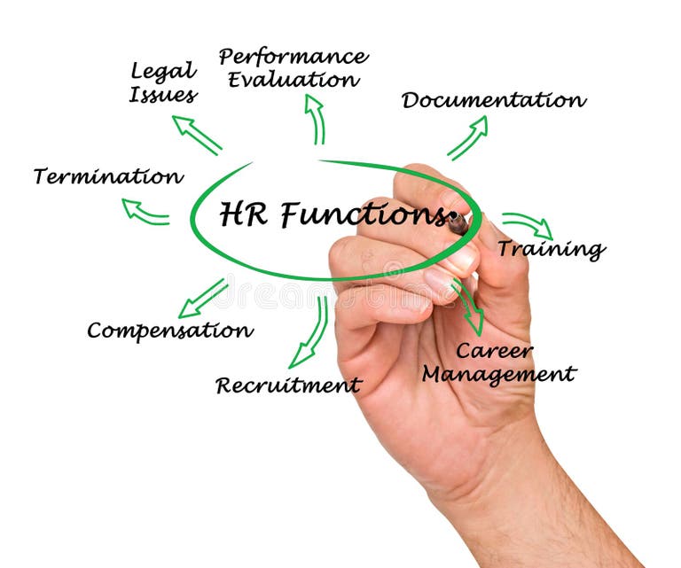 Diagram of HR Functions stock image. Image of female - 146327667