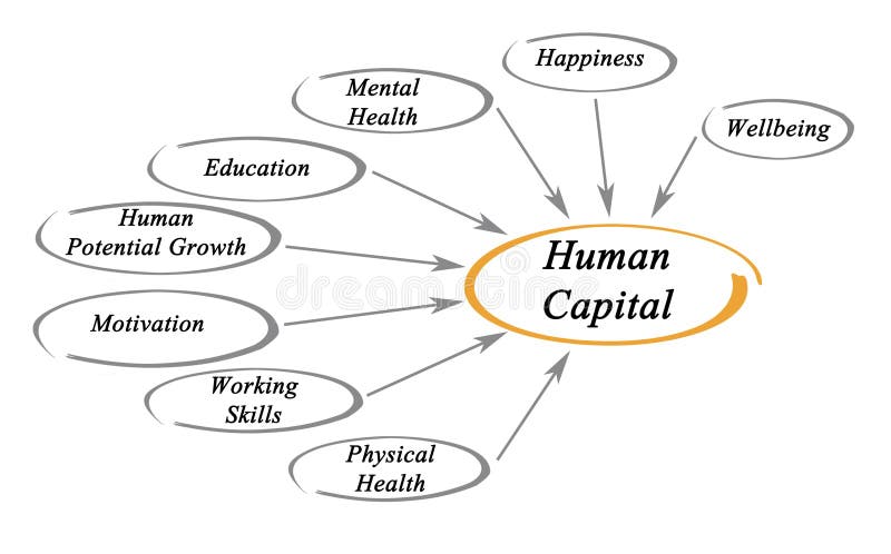 Diagram of Human Capital stock illustration. Illustration of human ...