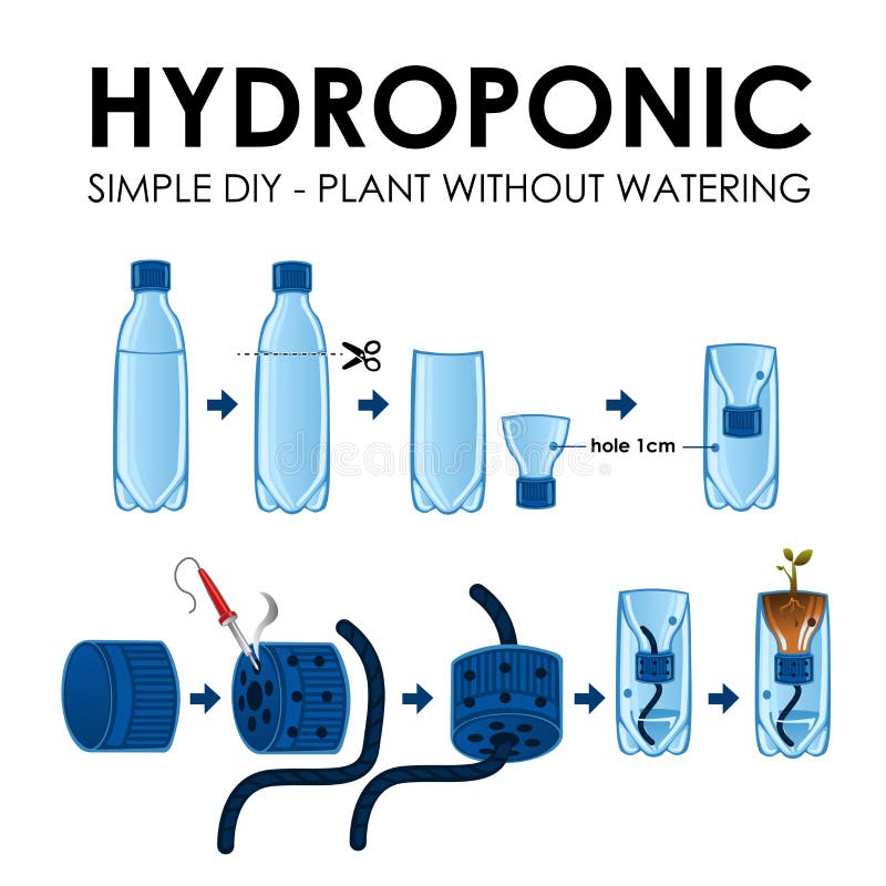 Diagram of a Hydroponics Setup Stock Vector - Illustration of isolated ...