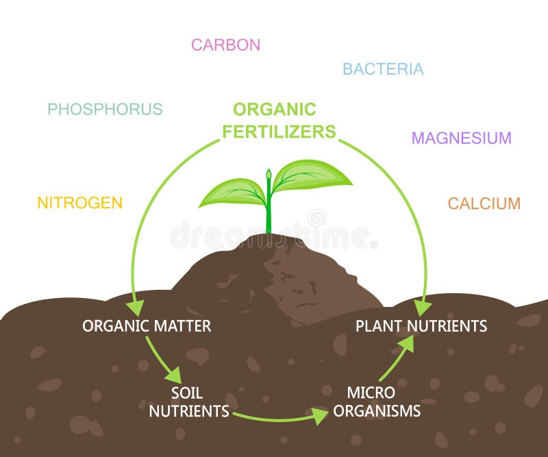 Vermicompost Stock Illustrations – 183 Vermicompost Stock Illustrations ...