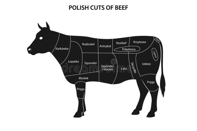 Diagram of Polish Beef Cuts on Cattle Silhouette Stock Vector ...