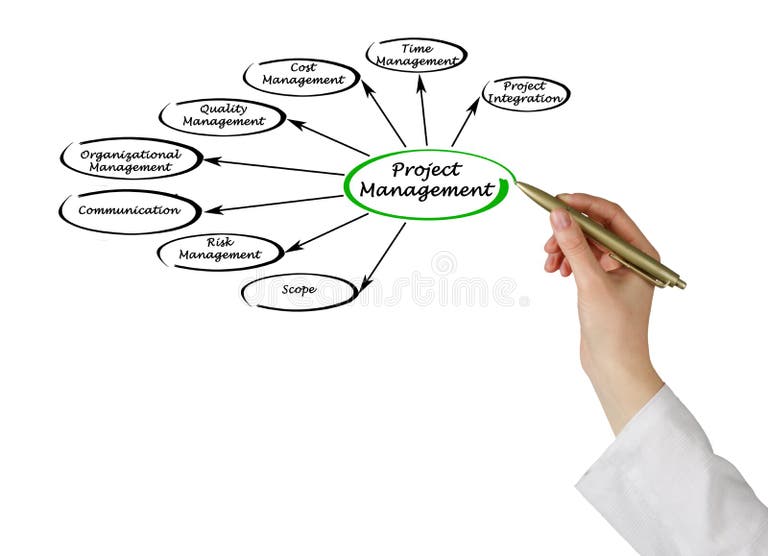 Diagram of Project Management Stock Image - Image of lecture, quality ...