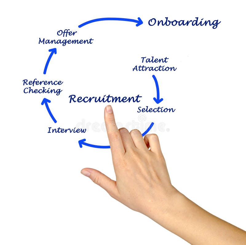 Diagram of Recruitment Process Stock Image - Image of human, attraction ...
