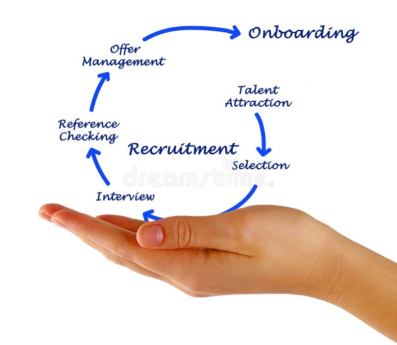 Diagram of Recruitment Process Stock Image - Image of human, attraction ...
