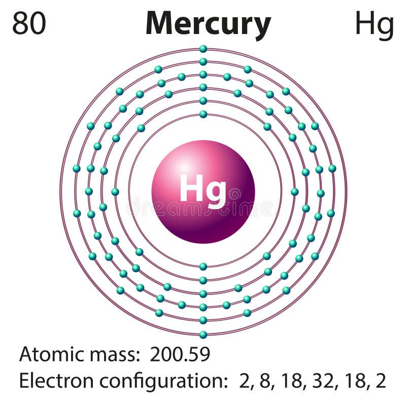 Diagram Representation of the Element Mercury Stock Vector ...