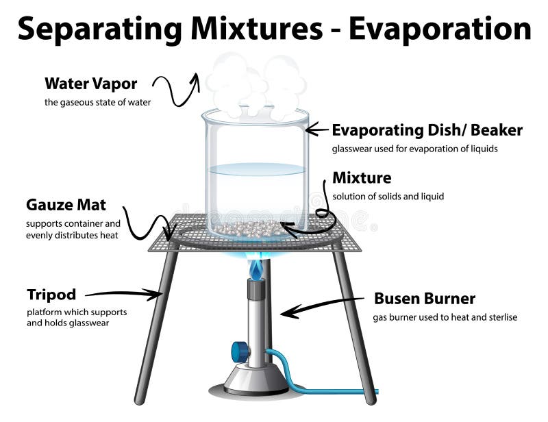Diagram Showing Evaporation Separating Mixtures Stock Vector ...