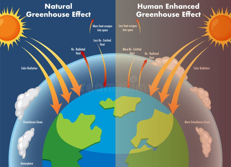 Diagram Showing the Greenhouse Effect Stock Vector - Illustration of ...