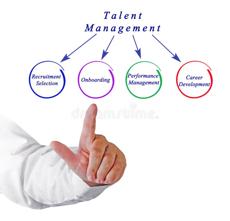 Diagram of Talent Management Stock Image - Image of resource, lecture ...