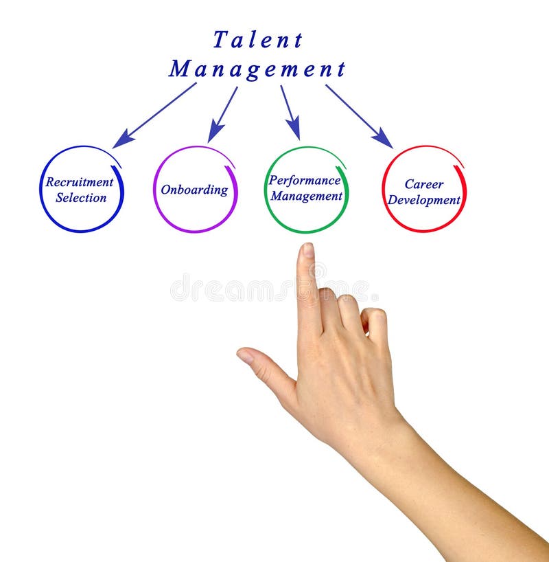 Diagram of Talent Management Stock Image - Image of development ...