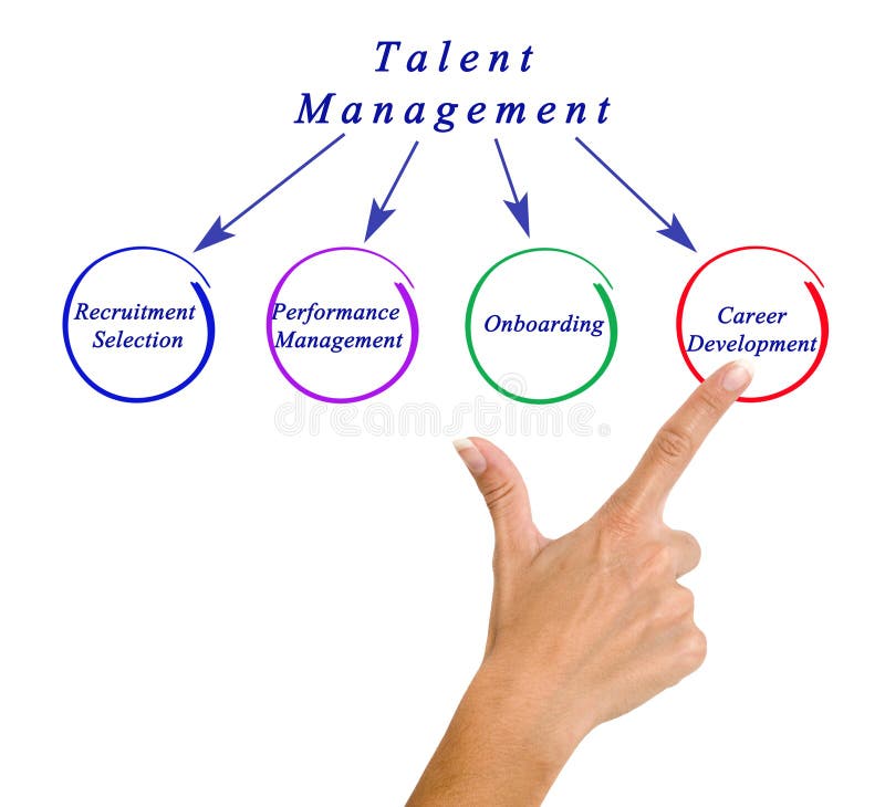 Diagram of Talent Management Stock Photo - Image of pointing ...