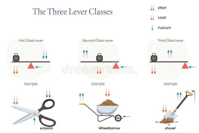 Diagram of Three Lever Classes Illustration Using Scissors, Wheelbarrow ...