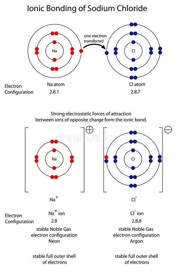 Diagram To Show Ionic Bonding in Sodium Chloride Stock Illustration ... Diagram To Show Ionic Bonding in Sodium Chloride Stock Illustration ...