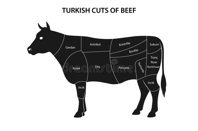 Diagram of Turkish Beef Cuts on Cattle Silhouette Stock Vector ...