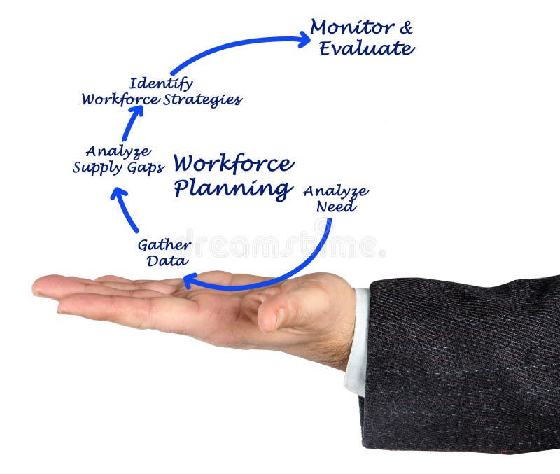 Diagram of Workforce Planning Stock Photo - Image of presentation, male ...