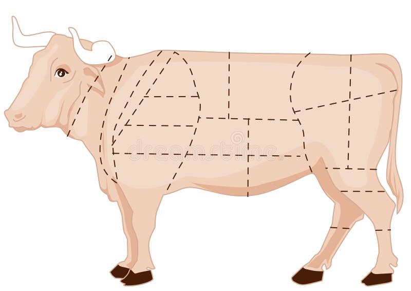 Diagramma del manzo illustrazione di stock. Illustrazione di parti ...