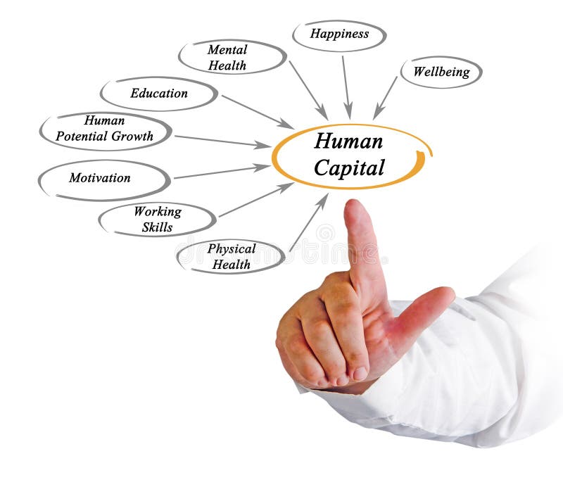 Diagramme De Capital Humain Photo stock - Image du expert, soin: 85648112