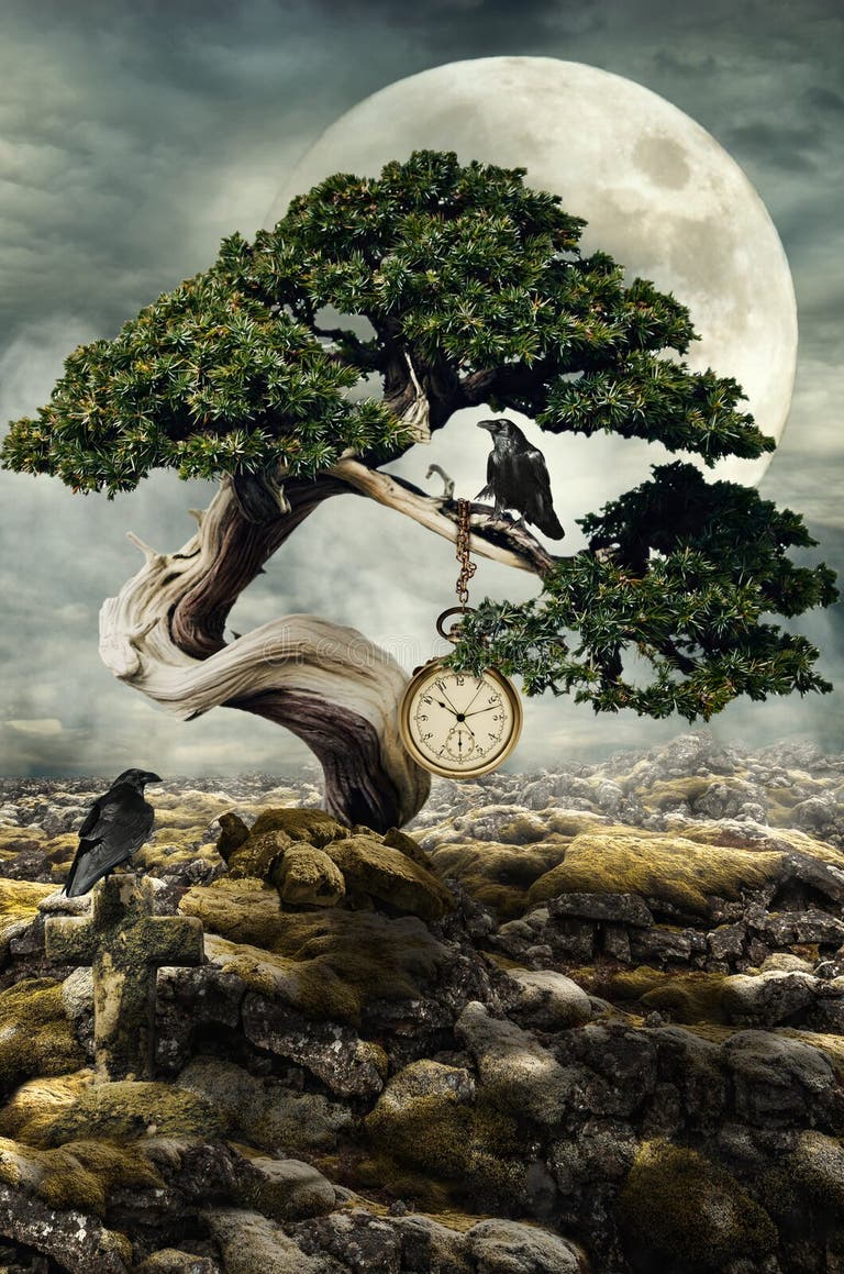 Dialogue Thoughts Stock Illustrations – 1,771 Dialogue Thoughts Stock ...