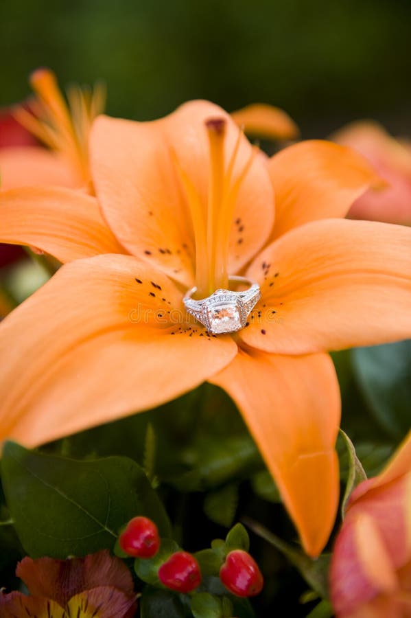 Diamond Celebration stock image. Image of petals, engagement - 12664951