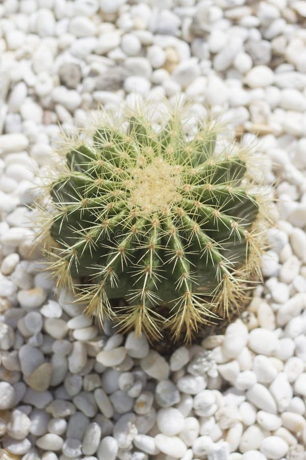 A Diamond Cylinder with Numerous Spikes on a White Stone Surface Stock ...
