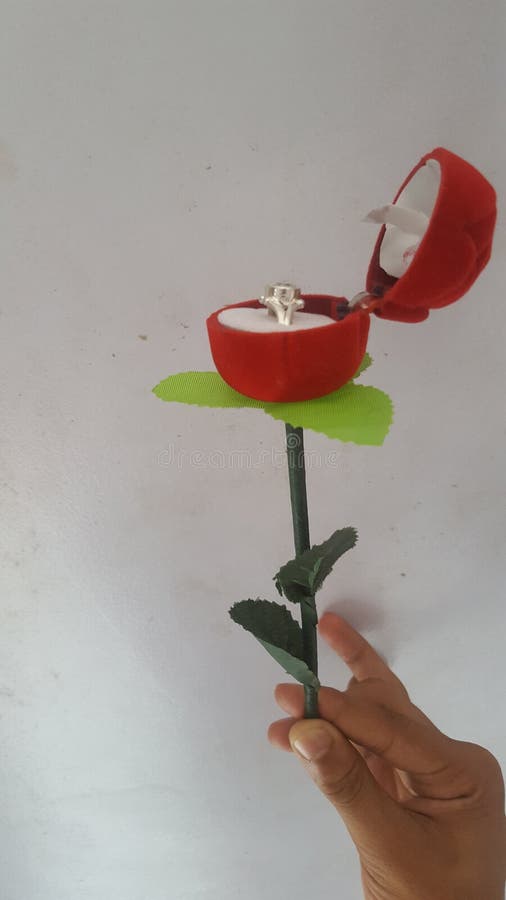 Diamond Ring Inside the Rose Stock Image - Image of open, diamond ...