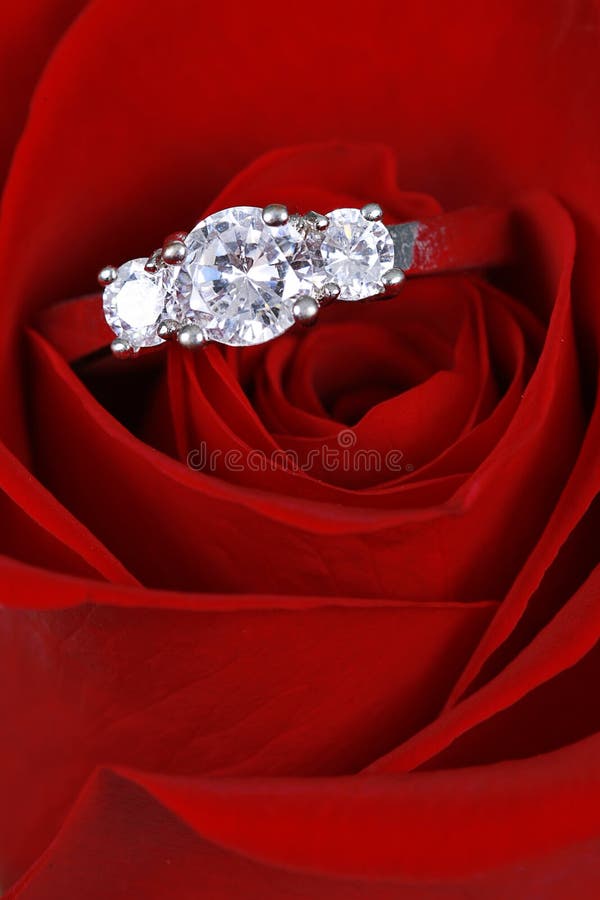 Diamond ring in red rose stock photo. Image of female - 14153246