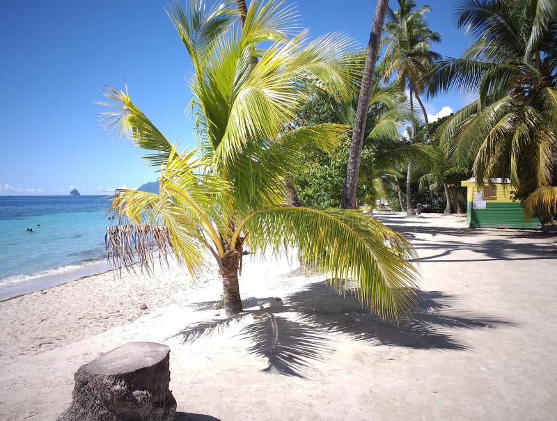 Diamond Rock on Left Coconut Tree Stock Image - Image of tree, diamond ...