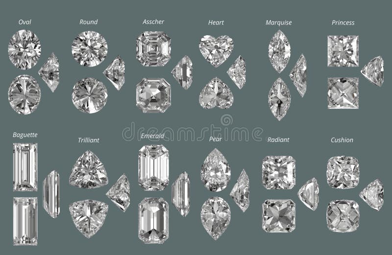 Top Bottom View Stock Illustrations – 4,529 Top Bottom View Stock ...