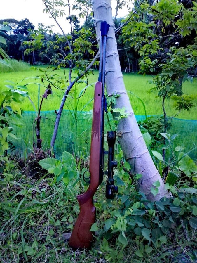 Diana 460 Rifle De Aire 022 Magnum Imagen de archivo - Imagen de diana ...