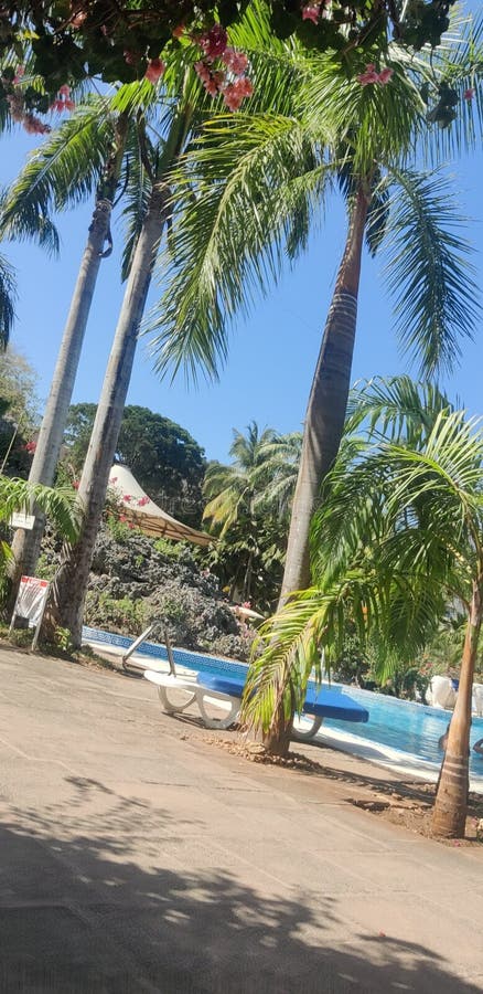 Diani reef beach resort stock image. Image of leisure - 274499769