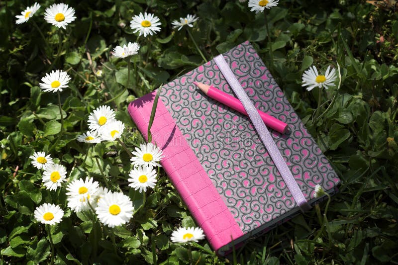 Diary stock photo. Image of flower, abstract, girl, dandelion - 9224302