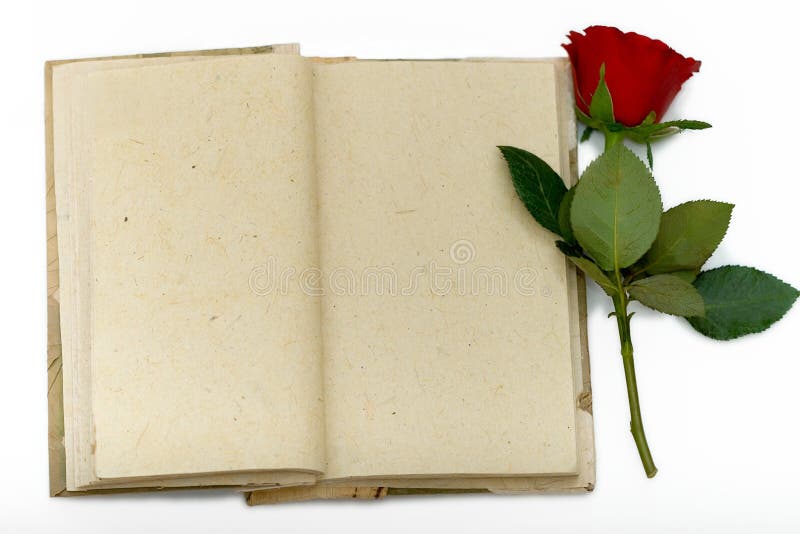 Diary with Opened Sheets and with Red Rose Stock Photo - Image of ...