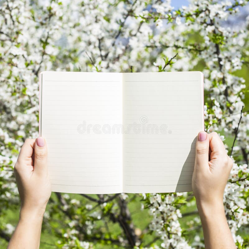 Diary and Planning of the Day. Spring Stock Photo - Image of beautiful ...