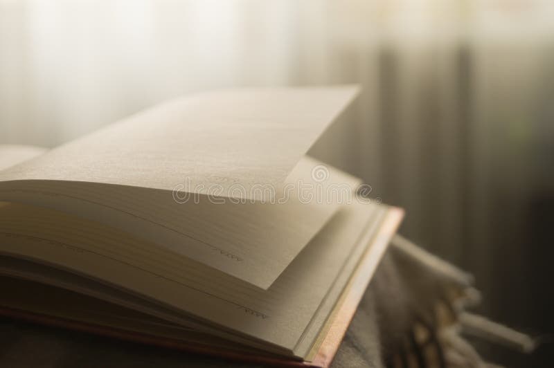 Diary To Record Against the Window Write Work Write Record Thoughts Job ...