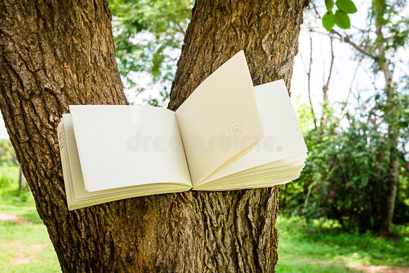 Diary on tree stock photo. Image of school, park, paper - 45711198