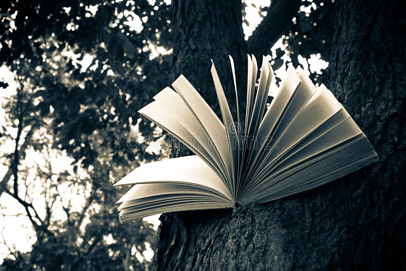 Diary on tree stock image. Image of notebook, nature - 45711175
