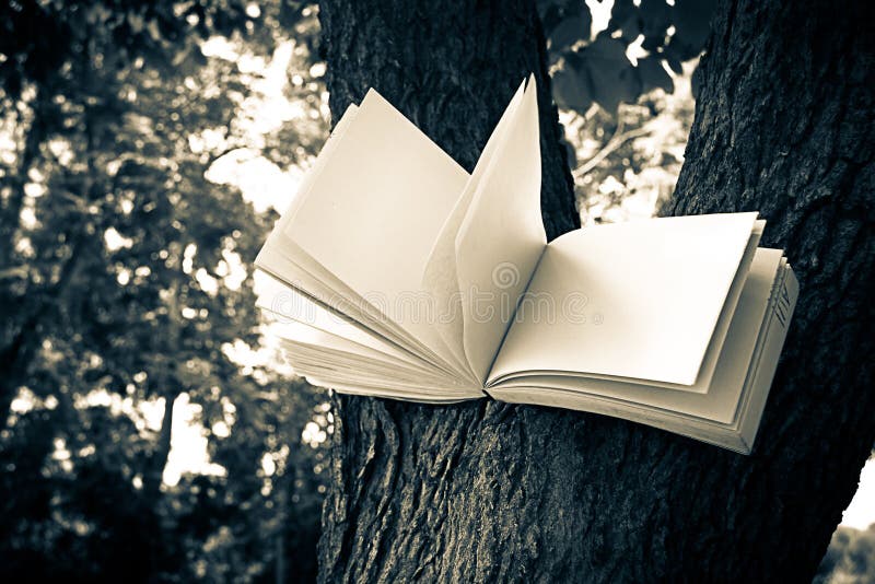 Diary on tree stock image. Image of book, cover, school - 45711177