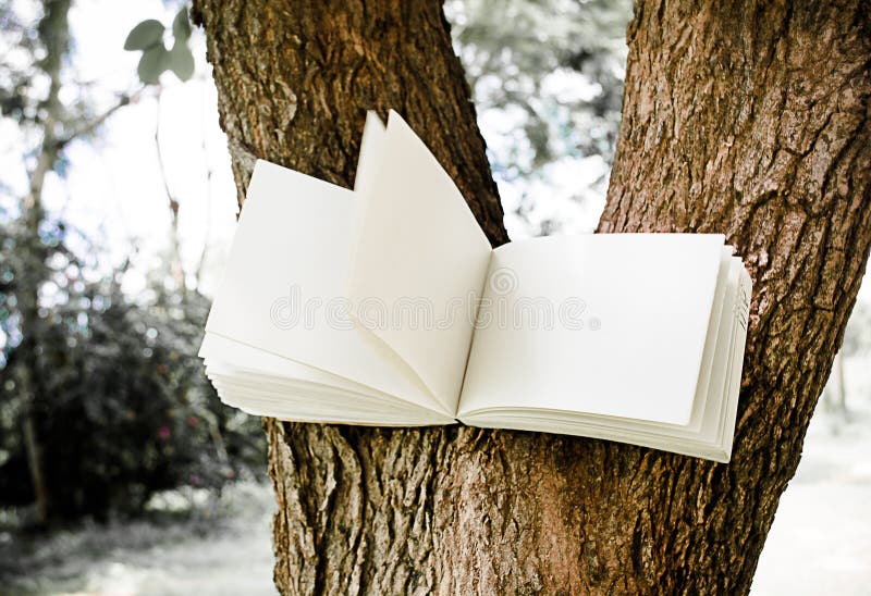 Diary on tree stock photo. Image of nature, notebook - 45711182