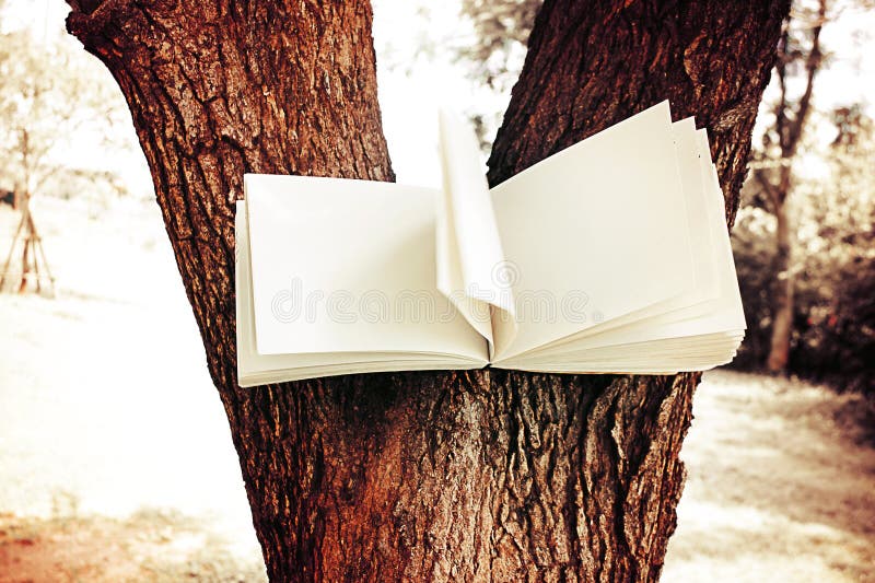 Diary on tree stock image. Image of education, concept - 45711329
